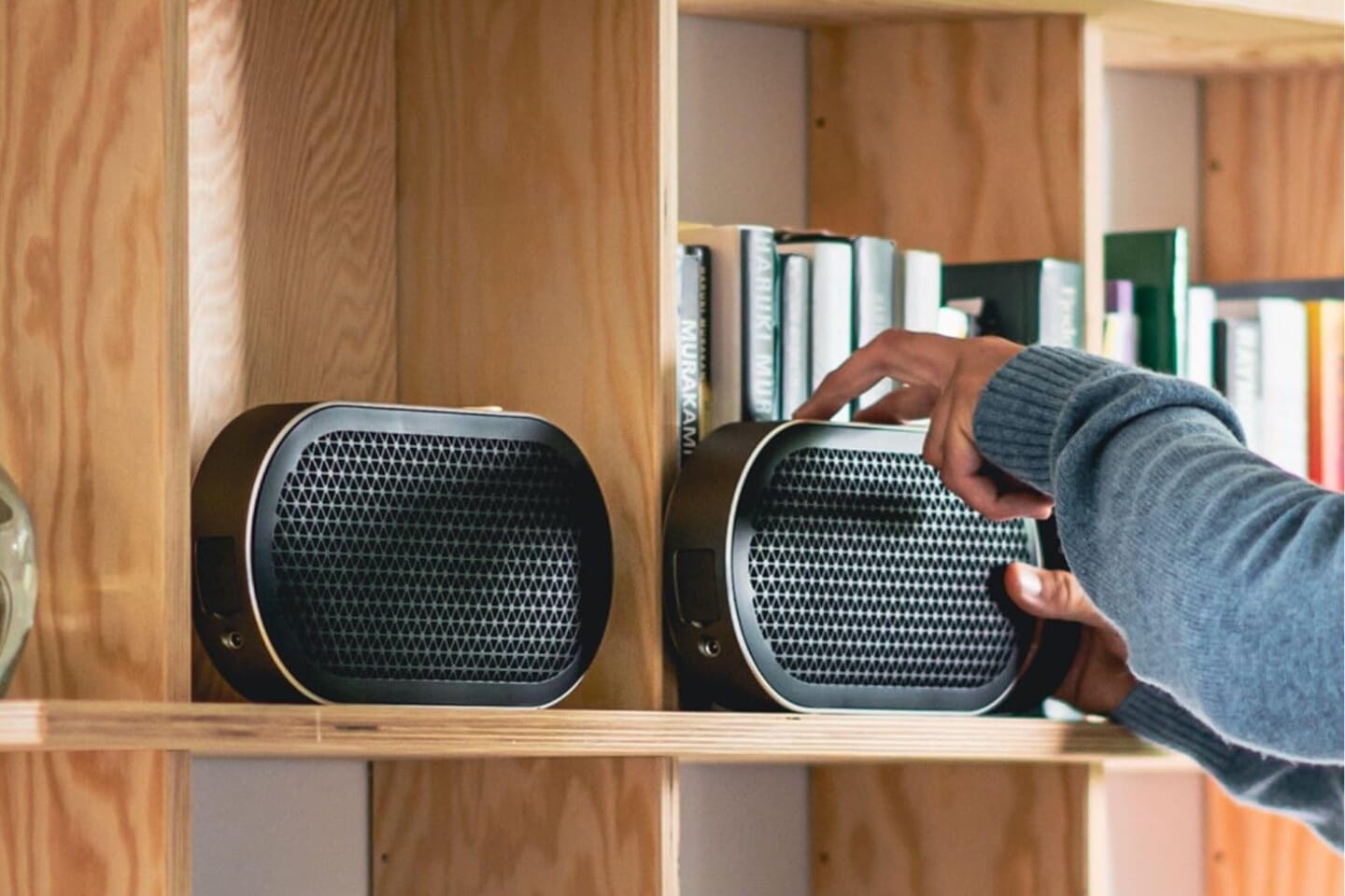 DALI KATCH G2 Portable Bluetooth Speaker | Smart Home Sounds